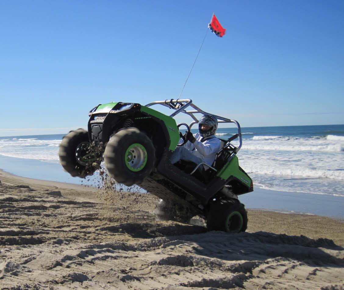 FREE SHIPPING ON ALL ITEMS ON OUR WEBSITE